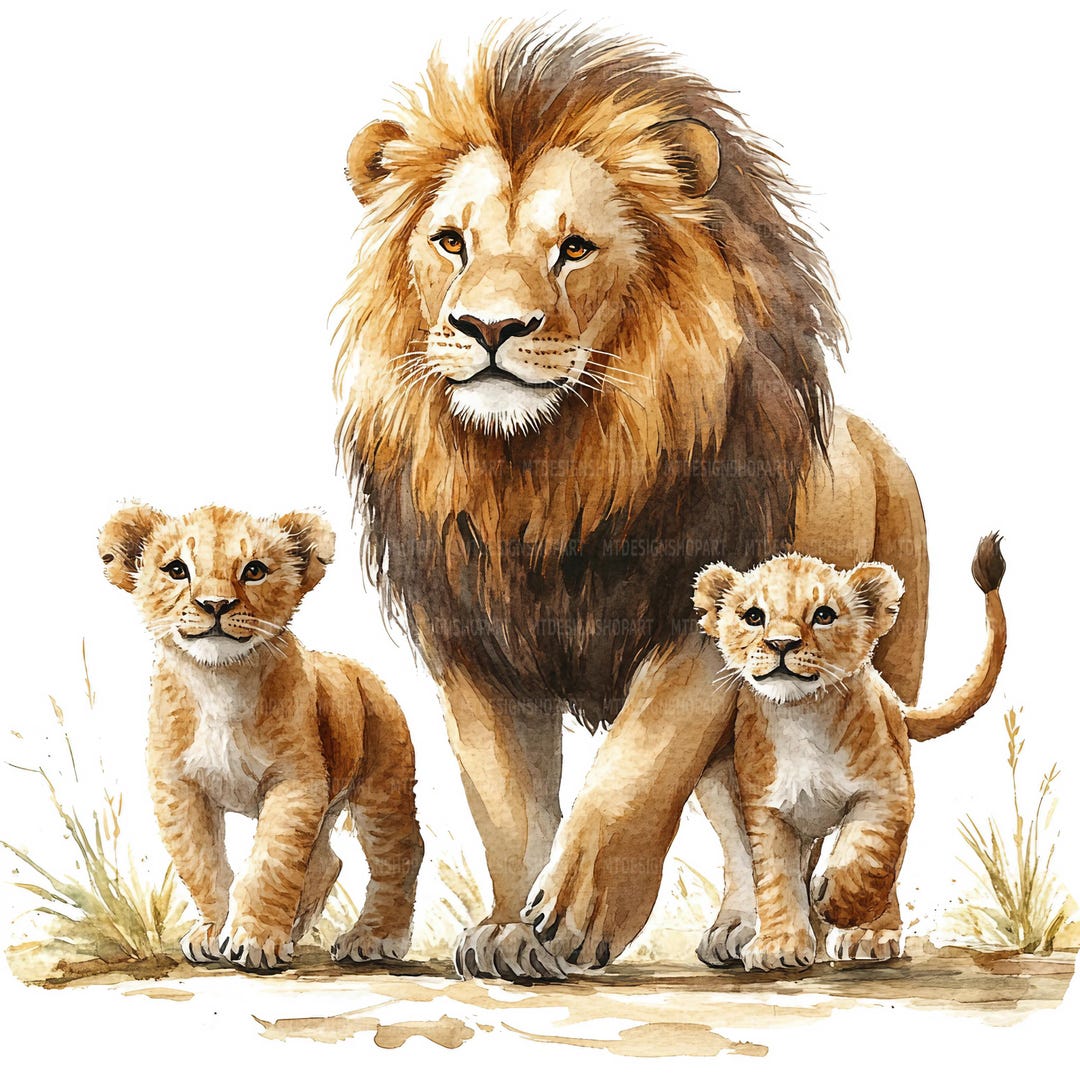 21 Lion and Cub Clipart, Lion Cub Playing, Printable Watercolor Clipart ...