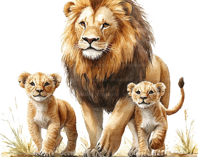 10 Lion and Cub Clipart, Lion for Nursery, Printable Pencil Drawing ...