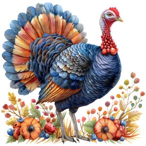 19 Turkey Clipart, Thanksgiving Clipart, Printable Watercolor Clipart ...