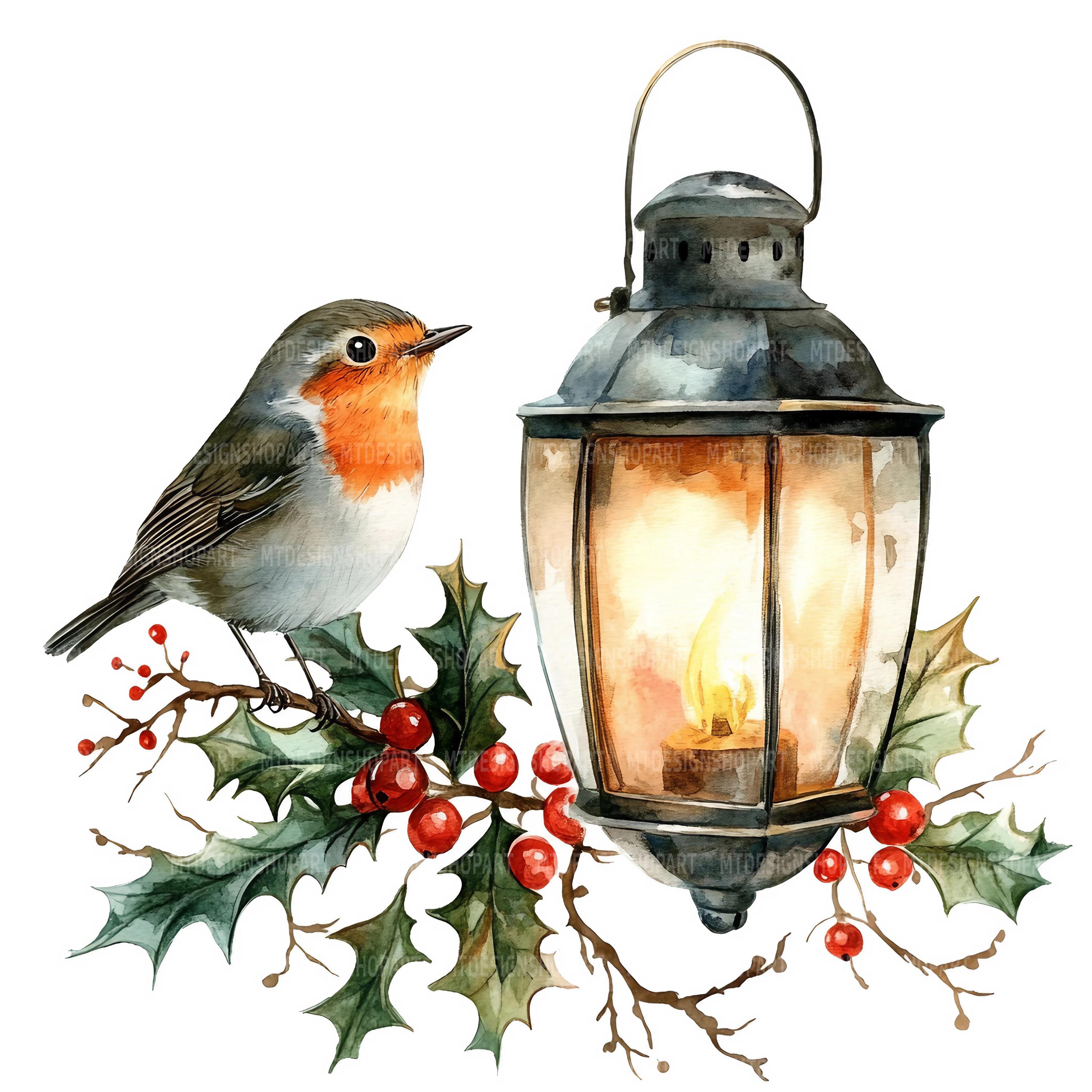 17 Robin and Lantern Christmas Clipart, Christmas Robin Clipart ...