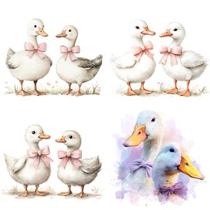 21 Cute Duck Clipart, Duck With Pink Bow, Peacock Landscape, Printable ...