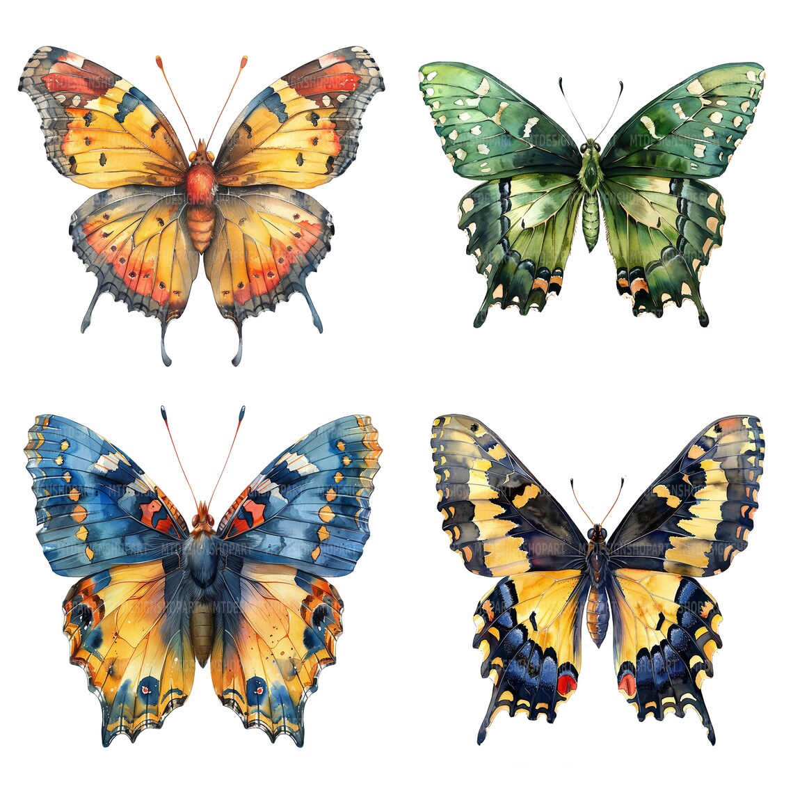 18 Realistic Butterfly Clipart, Butterflies Clipart, Printable ...