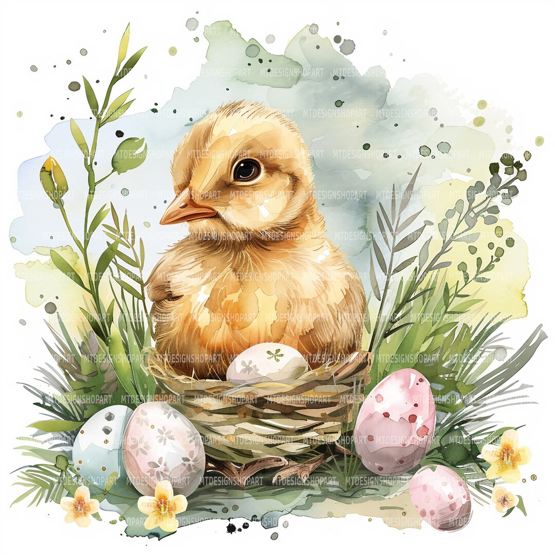 11 Chick and Eggs Clipart, Chicks, Printable Watercolor Clipart, High ...