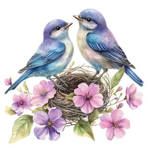 19 Spring Birds Clipart, Bird Nest Clipart, Floral Bird, Printable ...