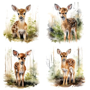 24 Baby Deer Clipart, Fawn Baby Clipart, Printable Watercolor Clipart ...