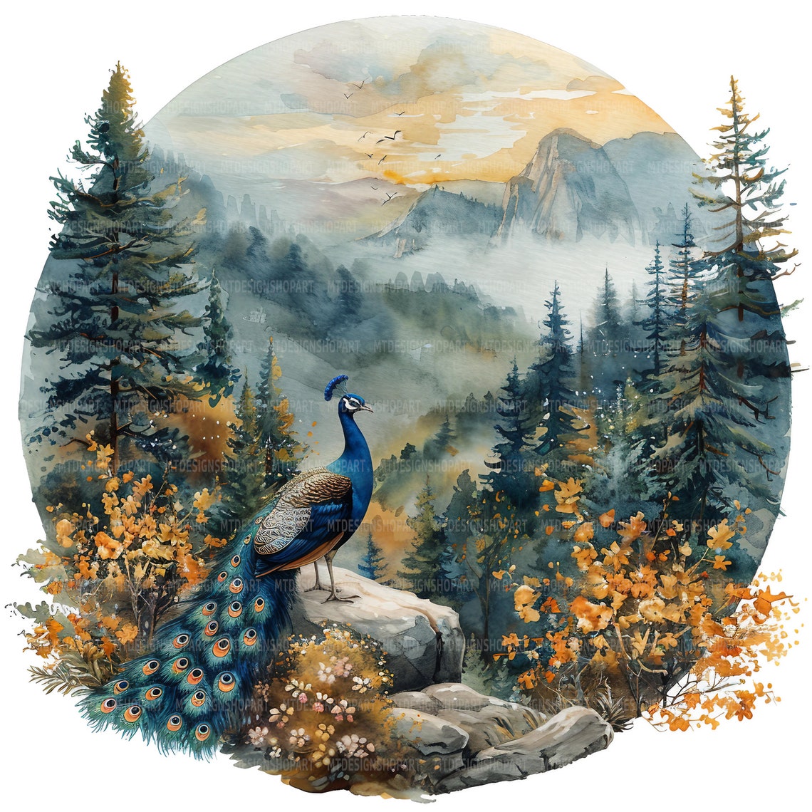 10 Peacock Clipart, Peacock Landscape, Printable Watercolor Clipart ...