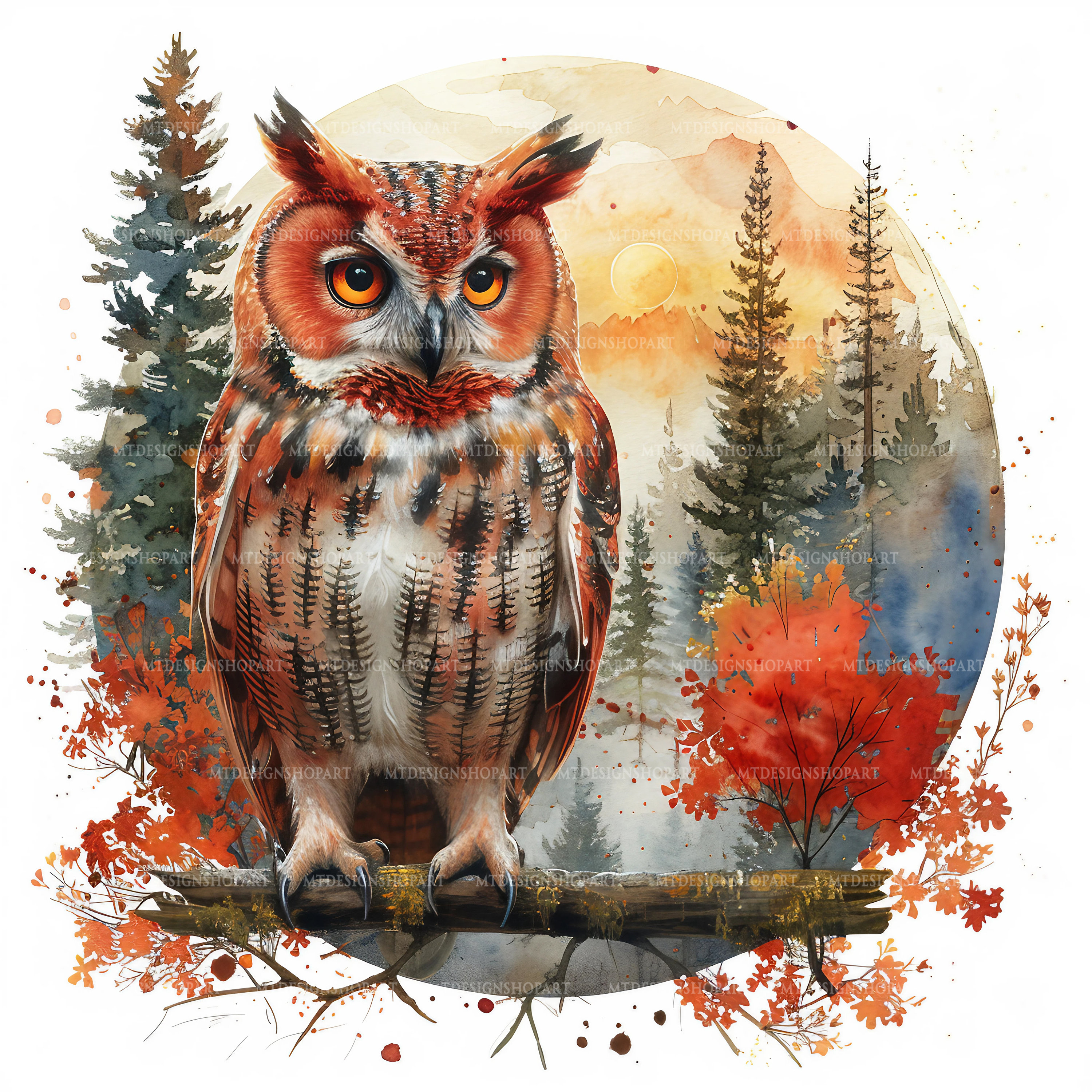 10 Owl Clipart, Printable Watercolor Clipart, Watercolor Owl Clipart ...