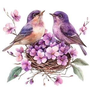 19 Spring Birds Clipart, Bird Nest Clipart, Floral Bird, Printable ...