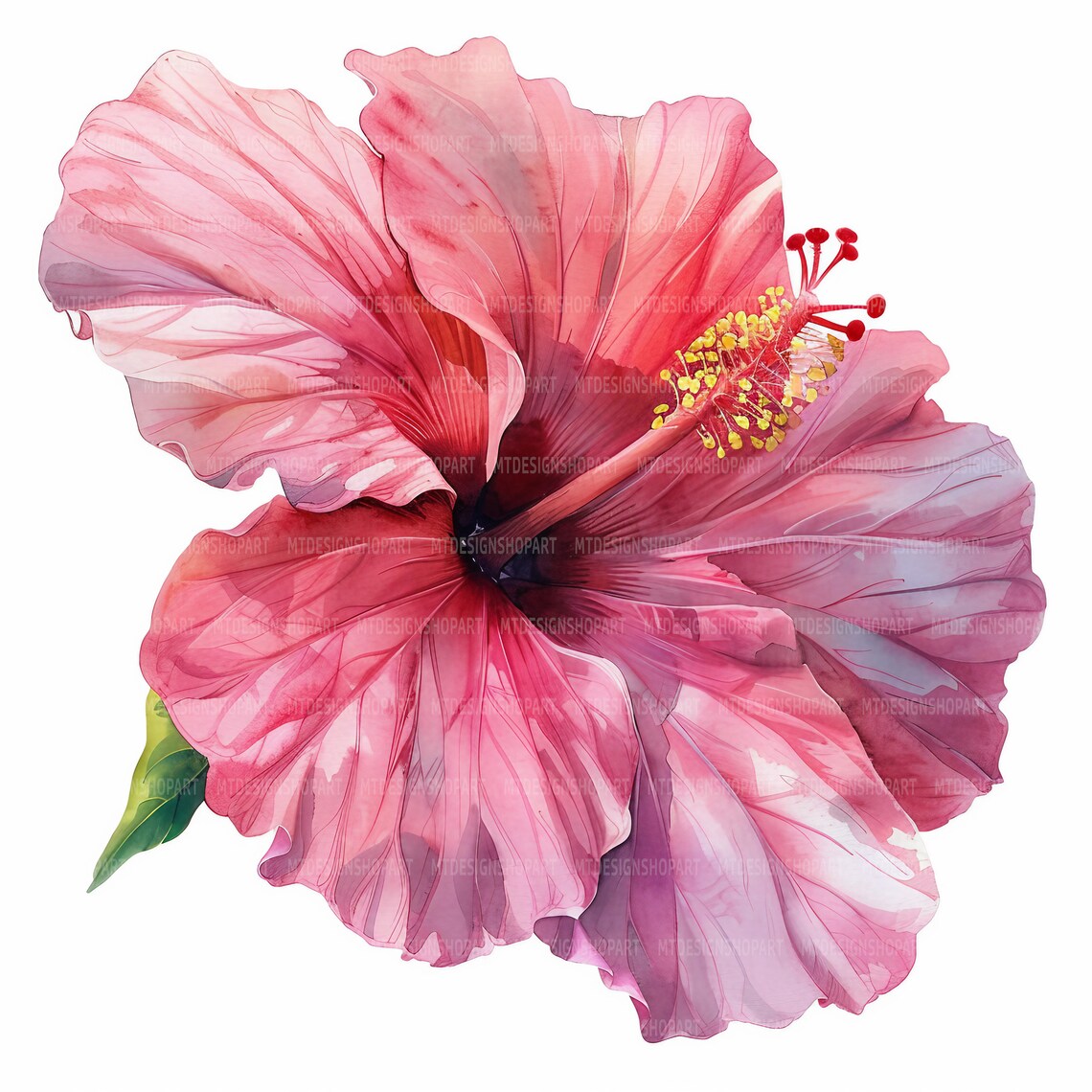 17 Tropical Flowers Clipart, Flowers Print, Printable Watercolor ...