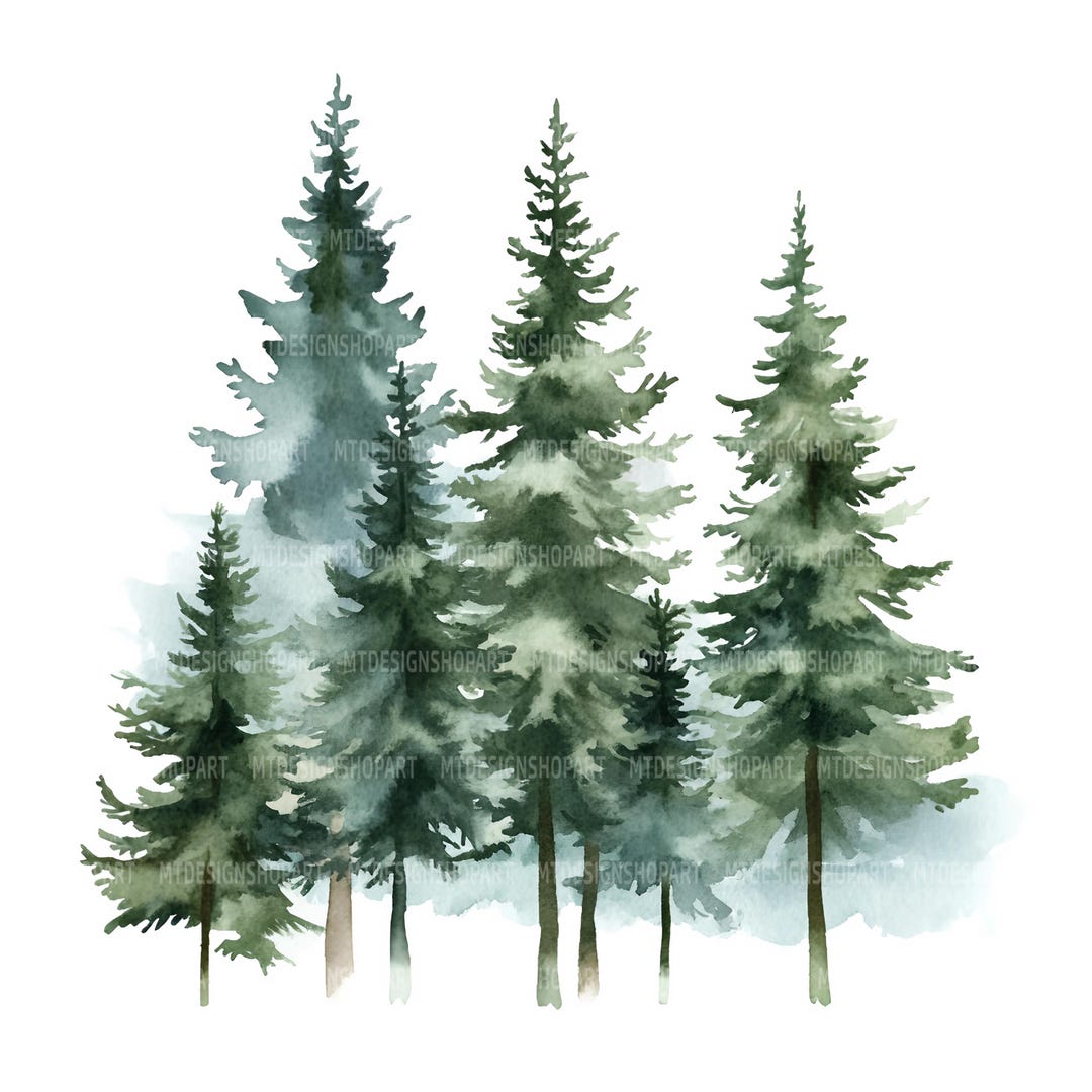 20 Conifer Tree Clipart, Forest Trees Clipart, Printable Watercolor ...