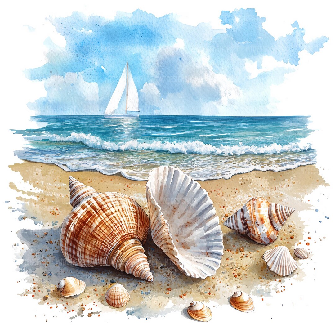 19 Sea Shells Clipart, Seashell Clipart, Printable Watercolor Clipart ...