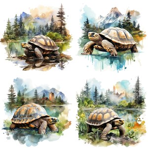 19 Tortoise Clipart, Watercolor Turtle Clipart, Printable Watercolor ...