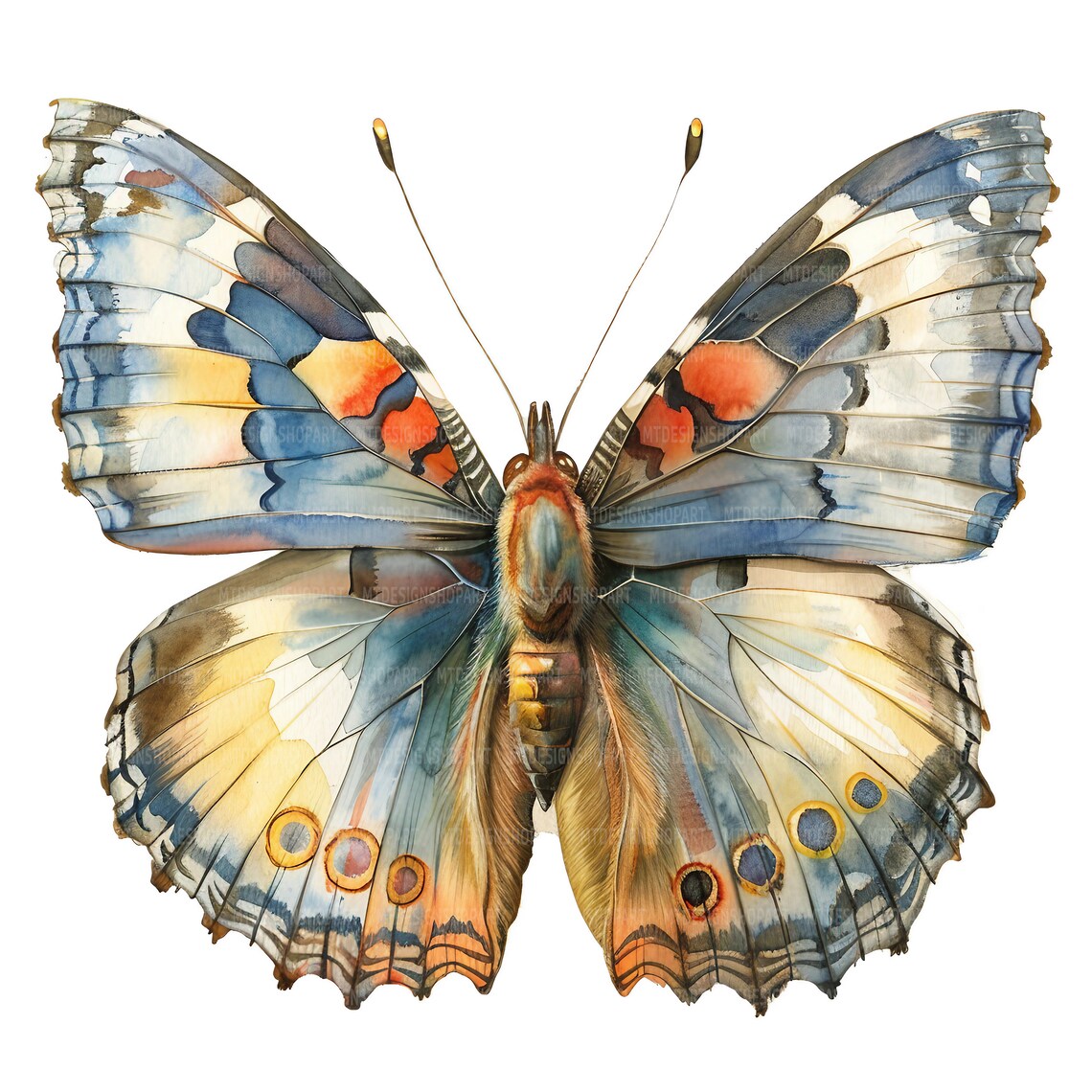 18 Realistic Butterfly Clipart, Butterflies Clipart, Printable ...