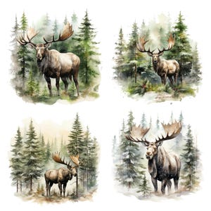20 Moose in Winter Clipart, Moose Clipart, Printable Watercolor Clipart ...