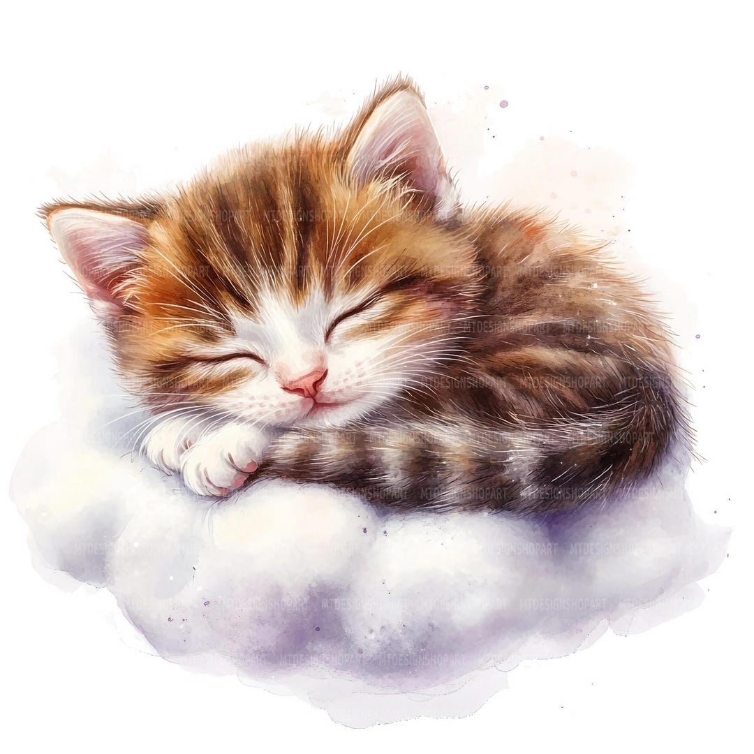 16 Baby Kitten Sleeping in Clouds Clipart, Baby Cat Clipart, Printable ...