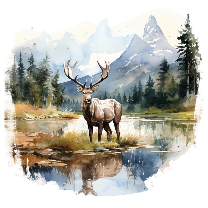 Watercolor Deer Clipart: Forest Animal Jpgs (digital Download) - Etsy