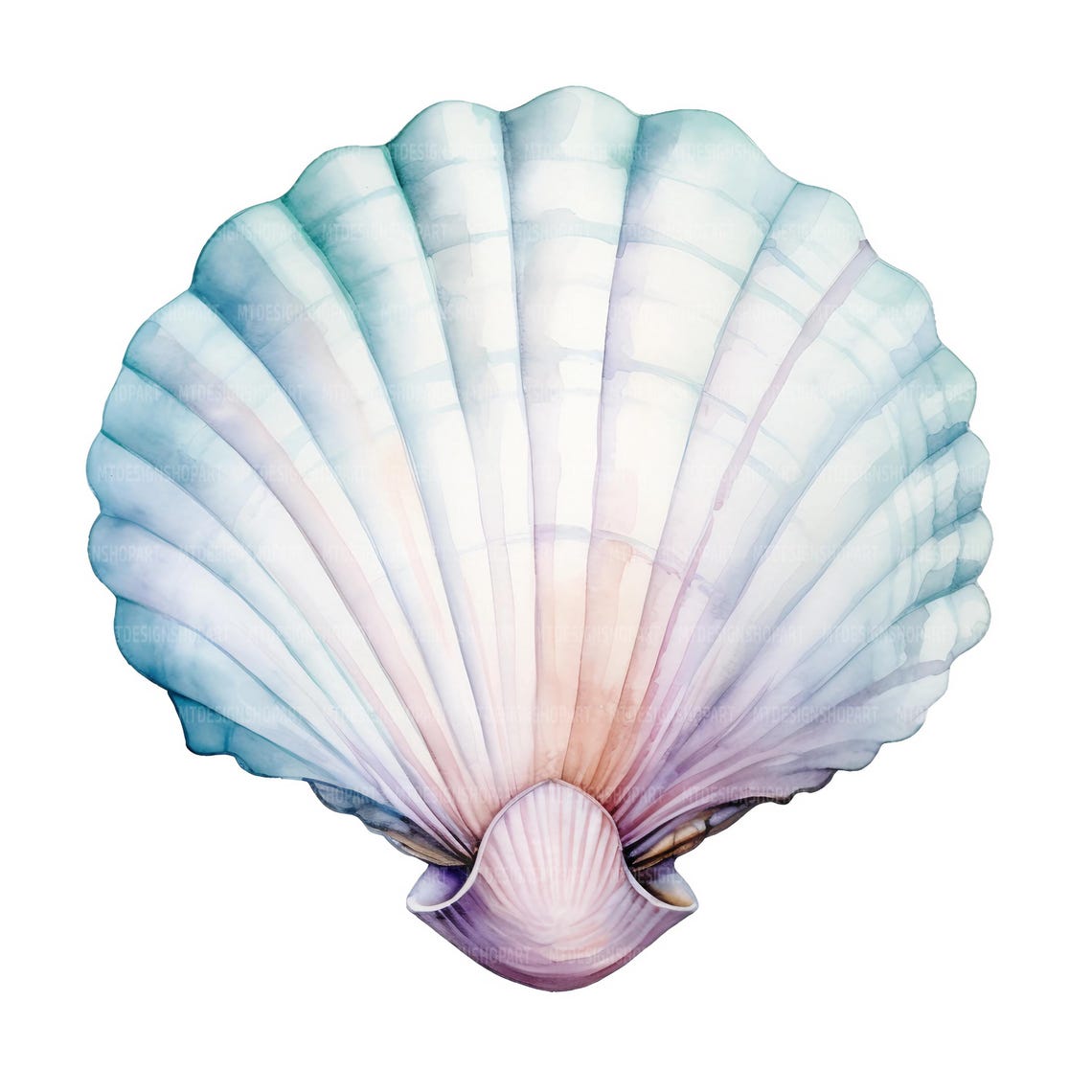 18 Seashell Clipart, Sea Shells Clipart, Printable Watercolor Clipart ...