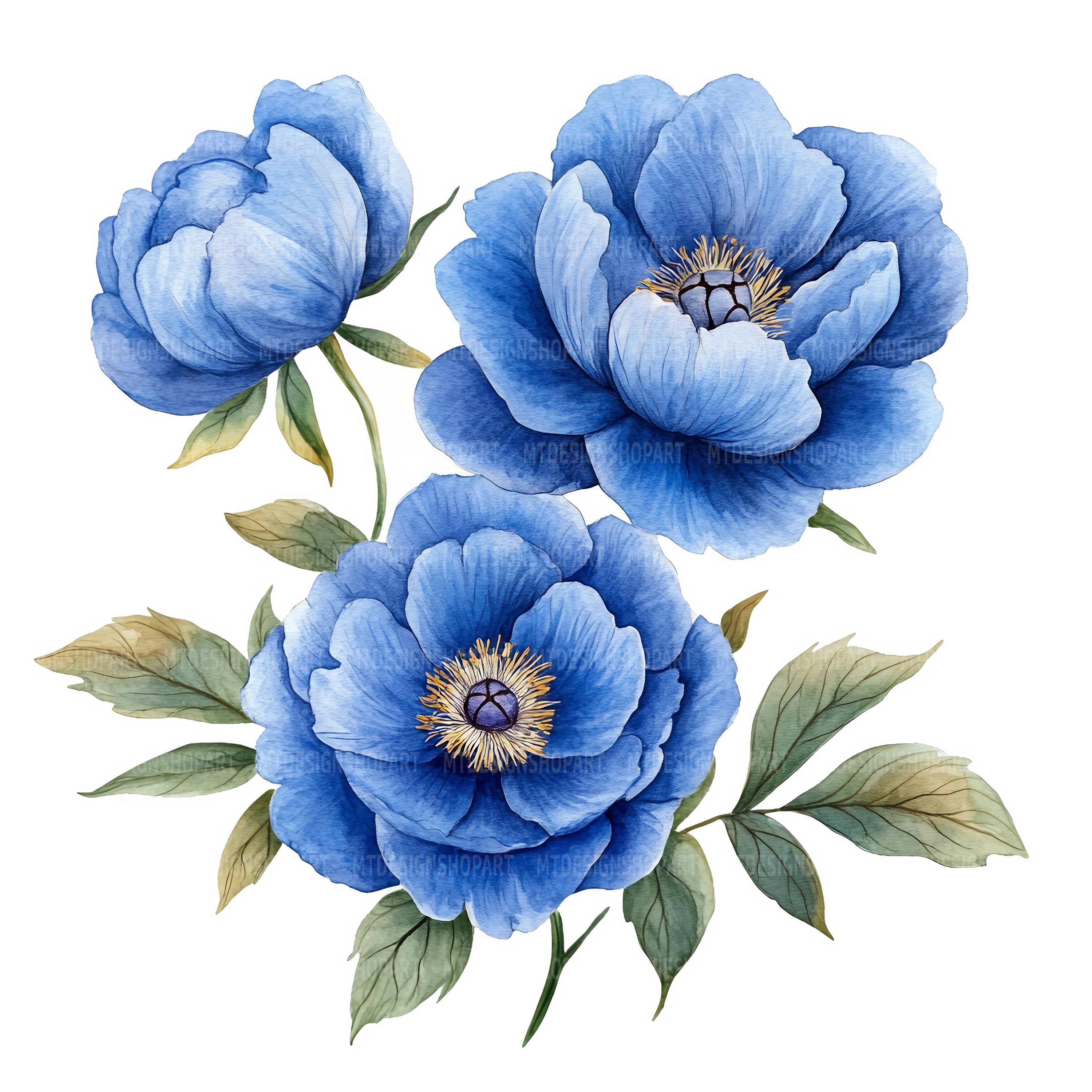 18 Blue Peonies Clipart, Peonies Bouquet, Printable Watercolor Clipart ...