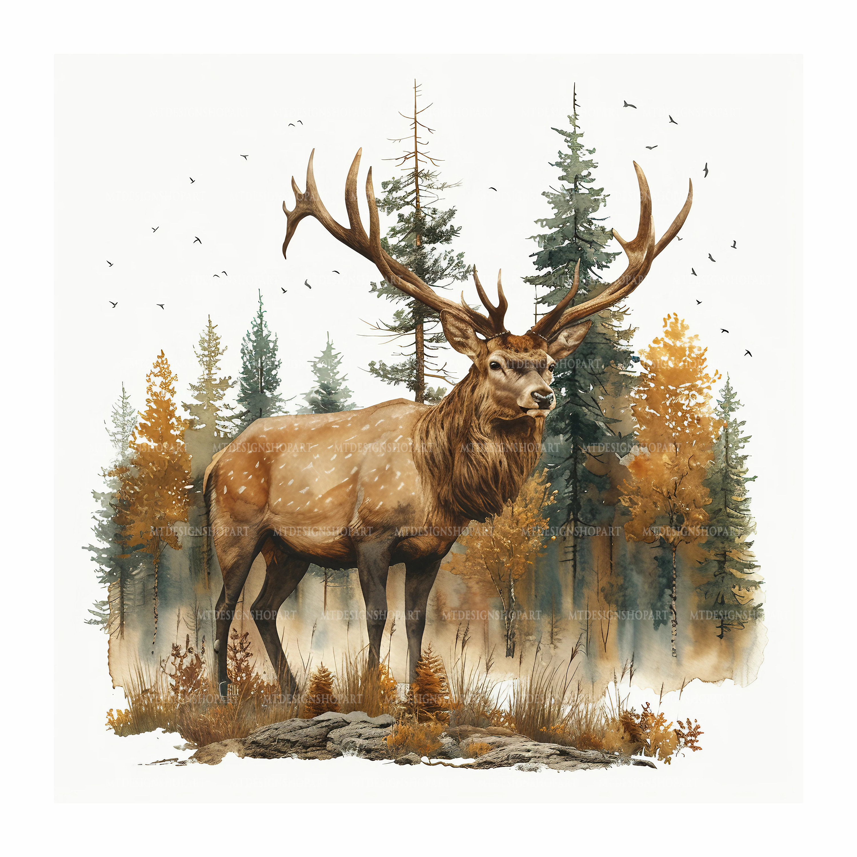 15 Deer Clipart, Printable Watercolor Clipart, Watercolor Deer Clipart ...