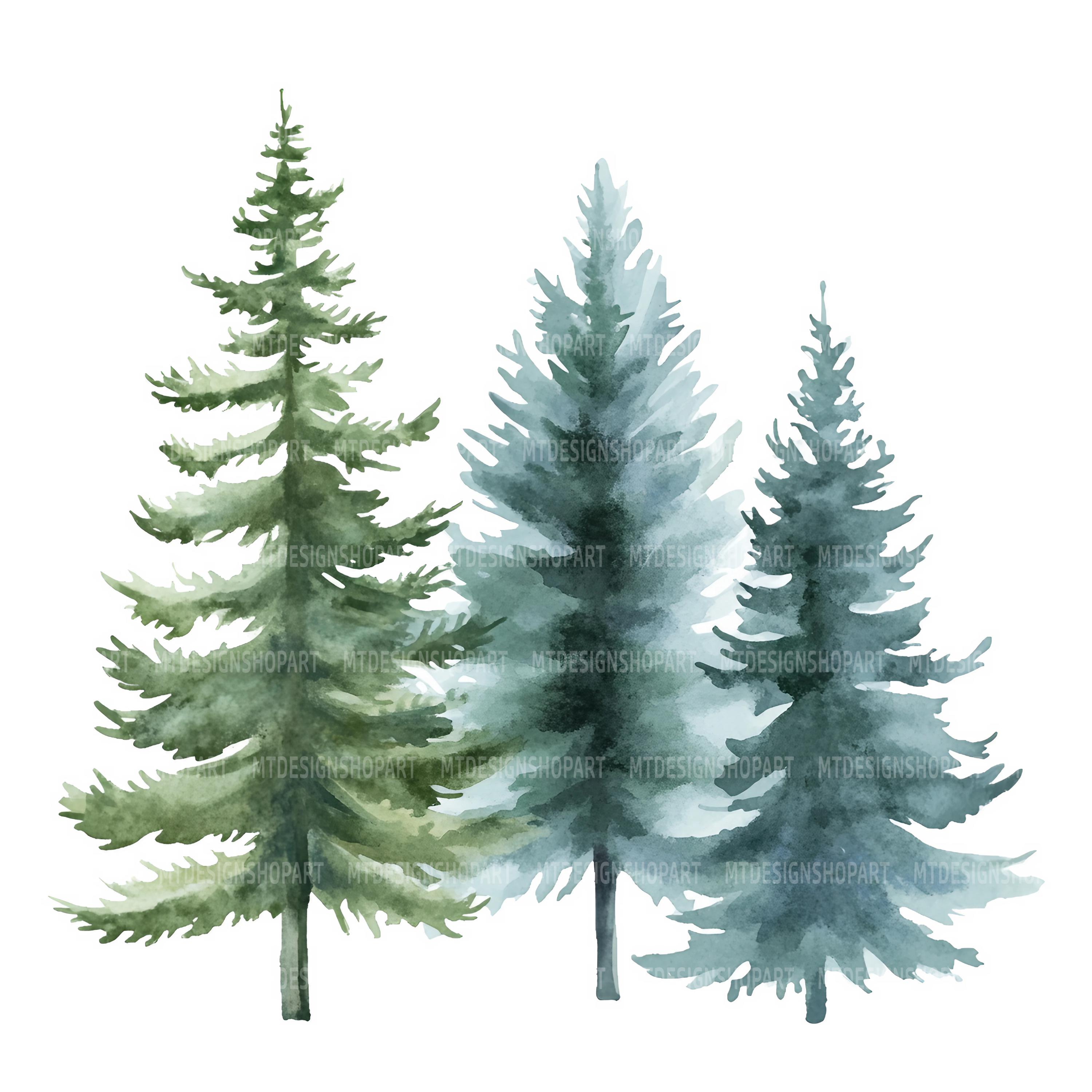 20 Conifer Tree Clipart, Forest Trees Clipart, Printable Watercolor ...