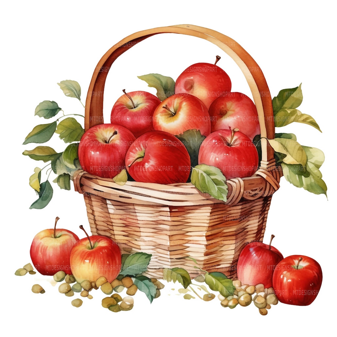 22 Apple Basket Clipart, Basket of Apples, Printable Watercolor Clipart ...
