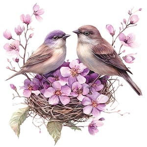 19 Spring Birds Clipart, Bird Nest Clipart, Floral Bird, Printable ...