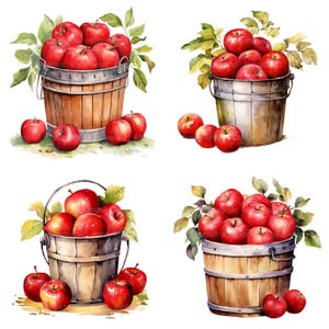 20 Apple Basket Clipart, Apple Buckets Clipart, Printable Watercolor ...