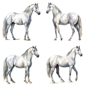 16 White Horse Clipart, Horse Clipart, Printable Watercolor Clipart ...