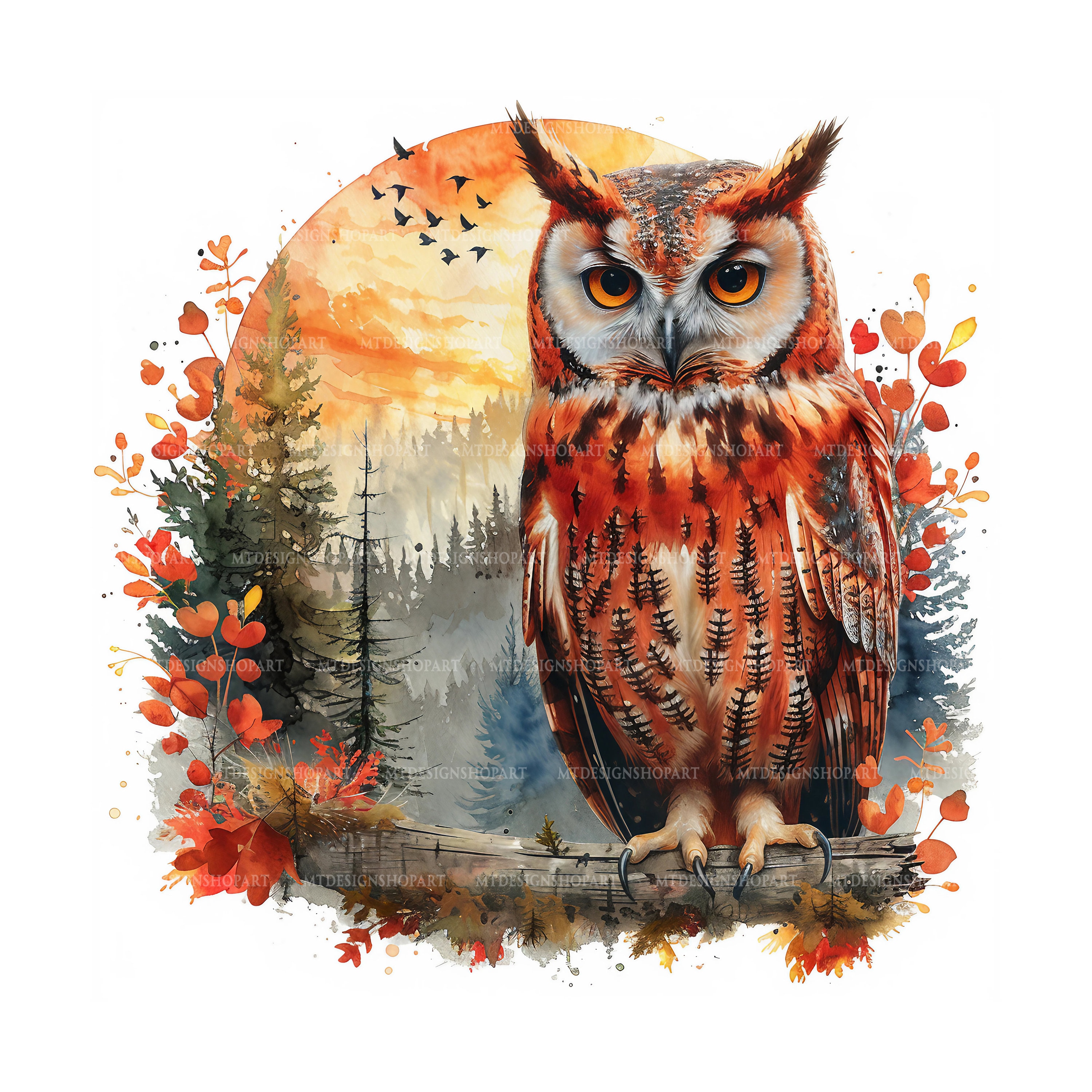 10 Owl Clipart, Printable Watercolor Clipart, Watercolor Owl Clipart ...