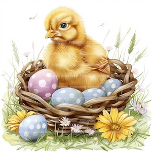 13 Chick and Eggs Clipart, Chicks, Printable Watercolor Clipart, High ...