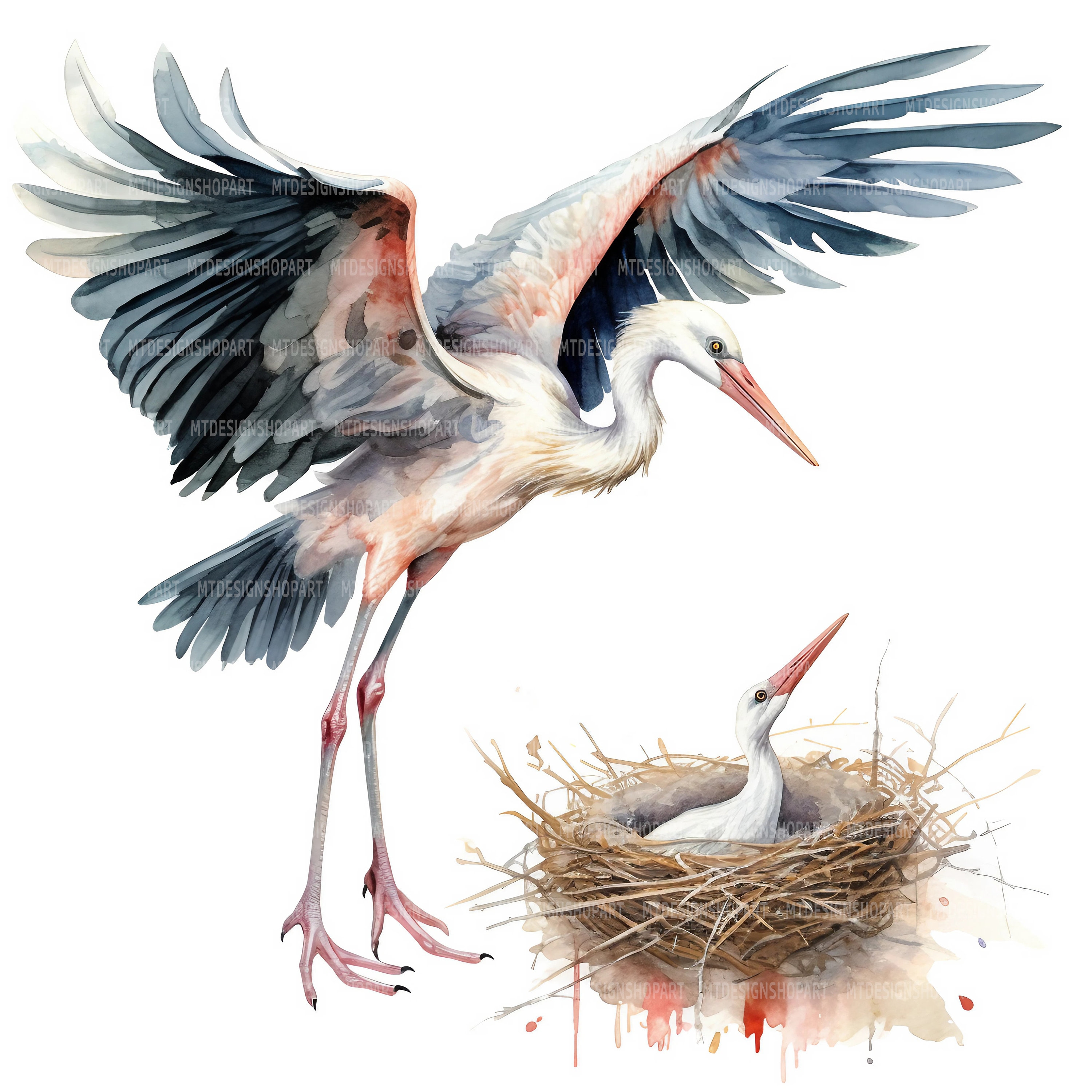 16 Stork Clipart, Storks in the Nest, Printable Watercolor Clipart ...