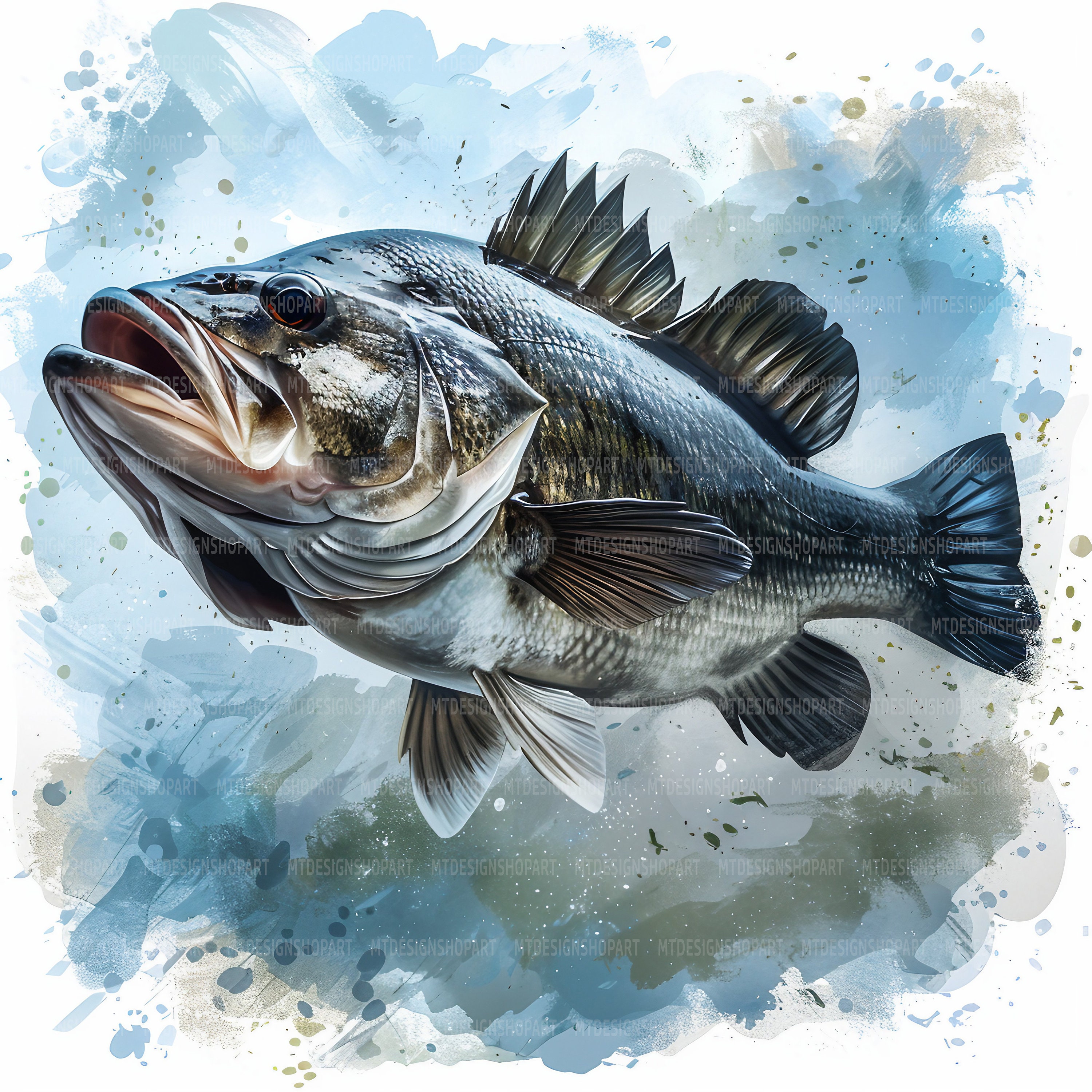 17 Black Bass Fish Clipart, Fish Clipart, Bass Fish, Printable ...