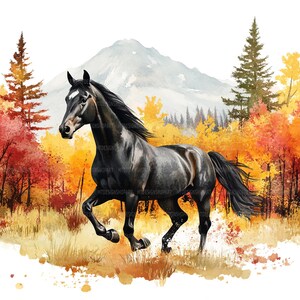 16 Black Horse in Autumn Clipart, Black Horse, Printable Watercolor ...
