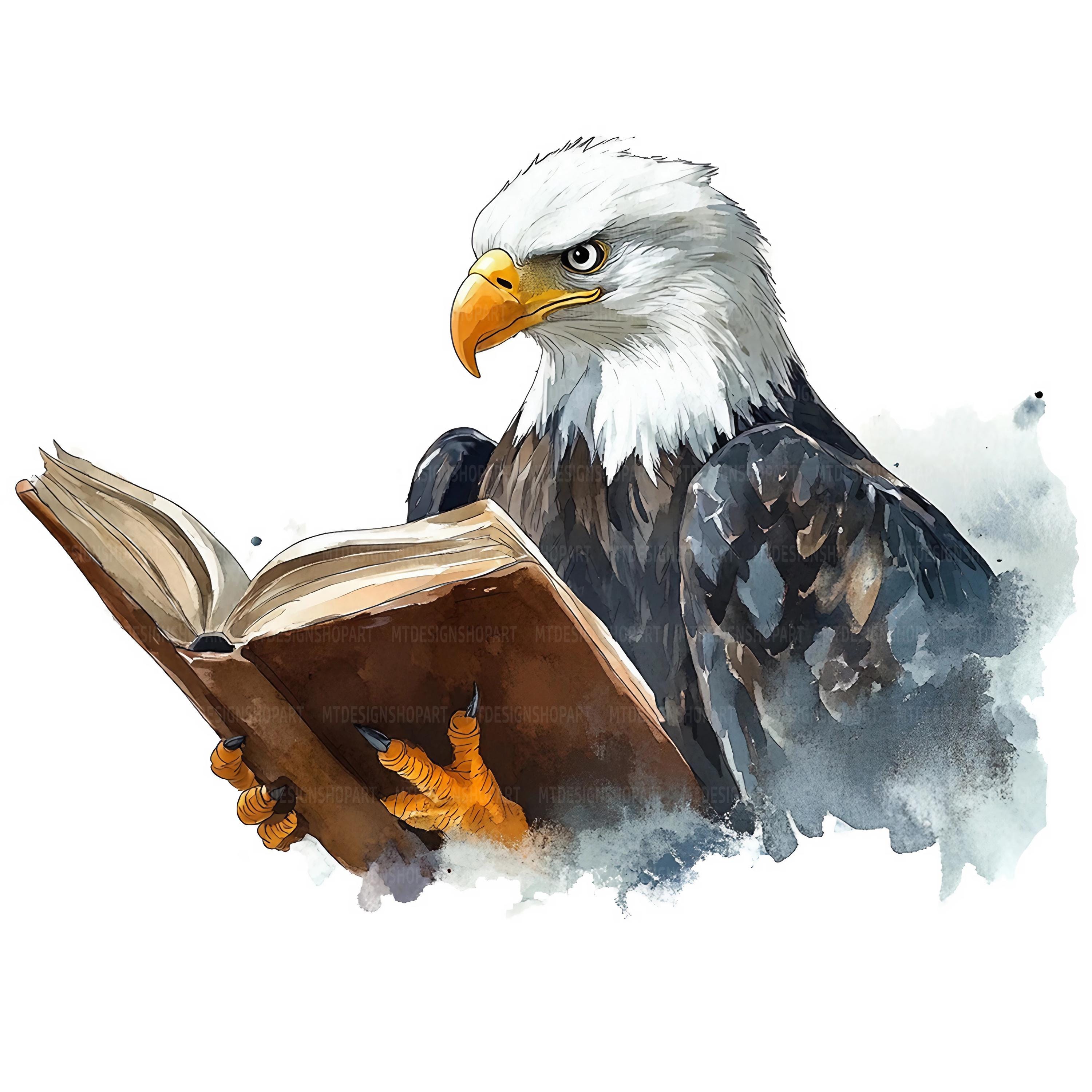 16 Eagle Reading Book Clipart, Bald Eagle, Printable Watercolor Clipart ...