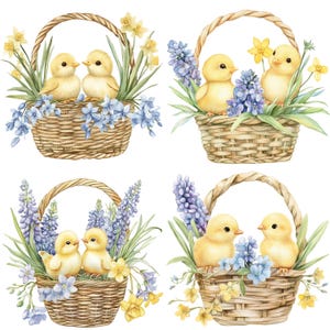19 Chick in Easter Basket Clipart, Easter Clipart, Printable Watercolor ...