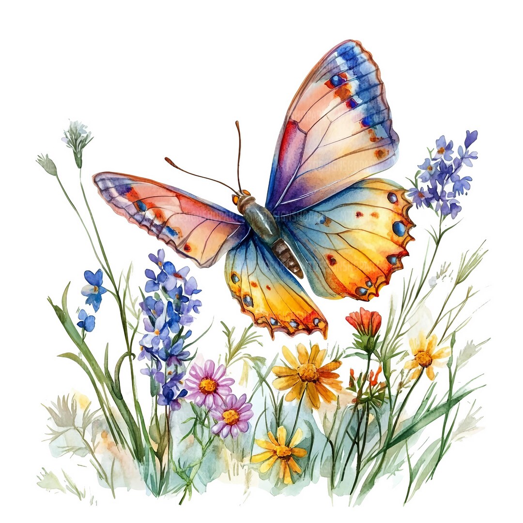 18 Butterfly in Flowers Clipart, Floral Butterfly, Wildflowers ...
