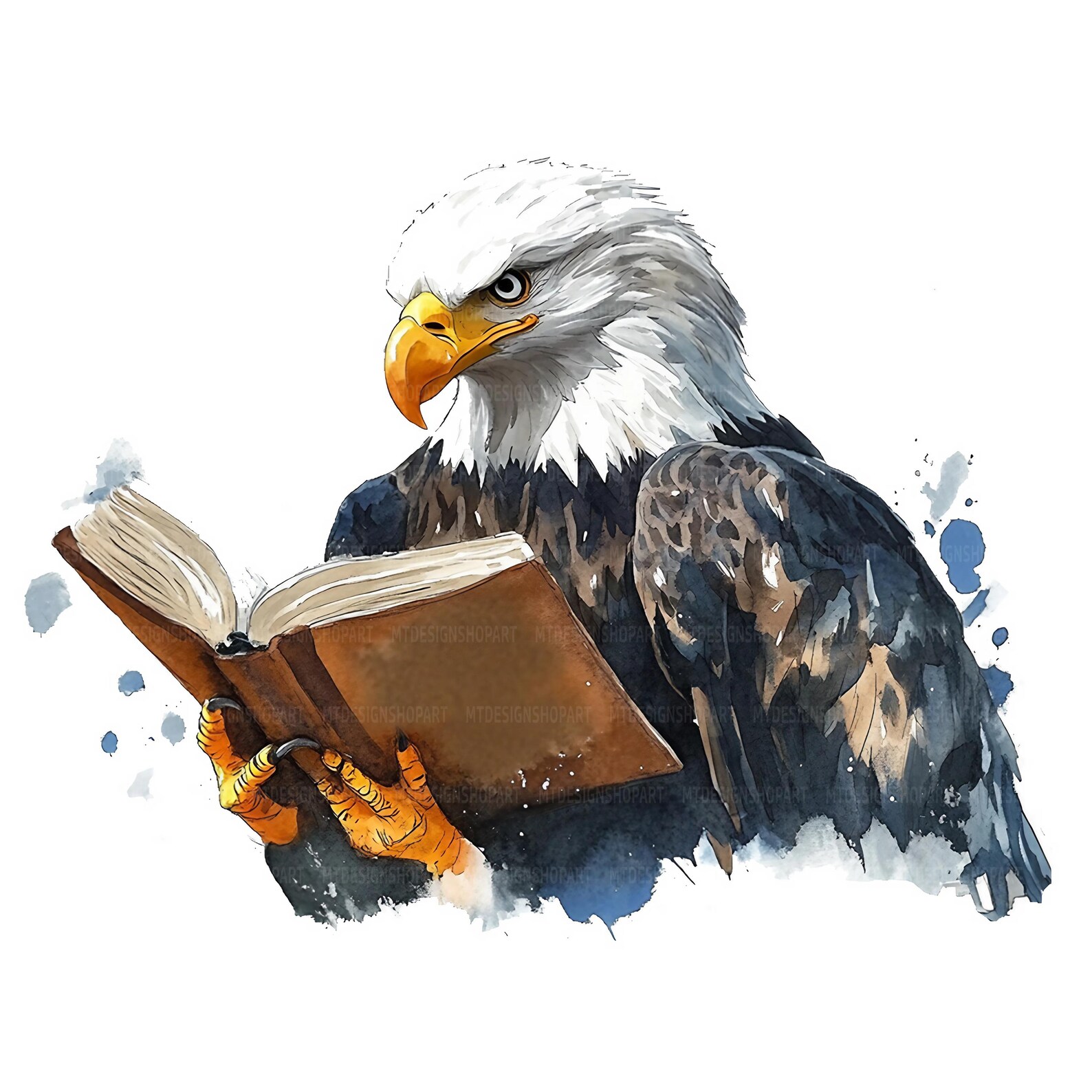 16 Eagle Reading Book Clipart, Bald Eagle, Printable Watercolor Clipart ...