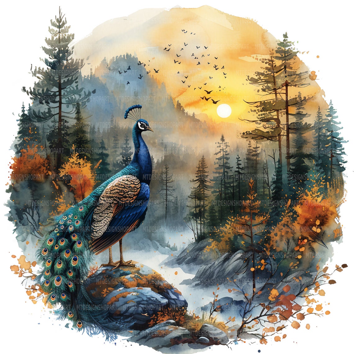 10 Peacock Clipart, Peacock Landscape, Printable Watercolor Clipart ...