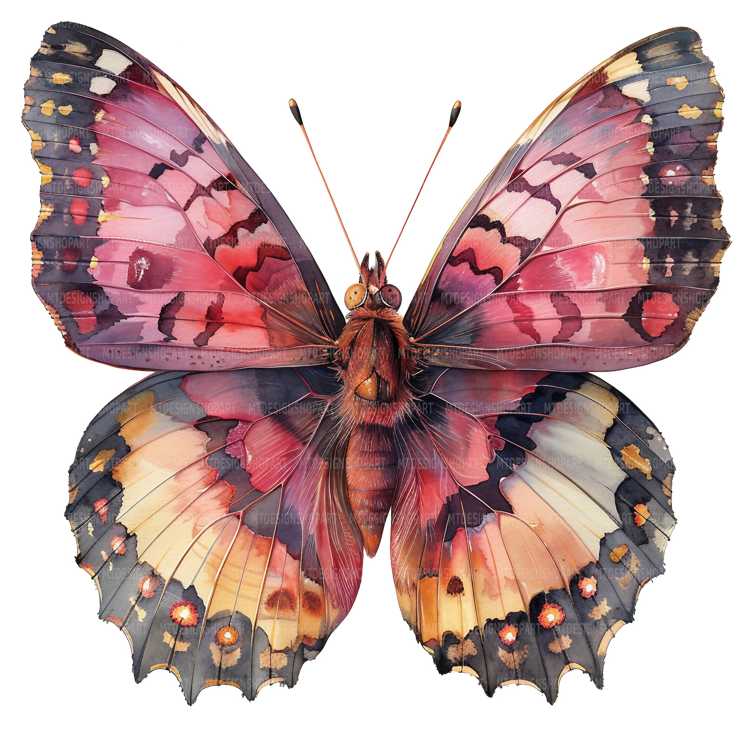 18 Realistic Butterfly Clipart, Butterflies Clipart, Printable ...