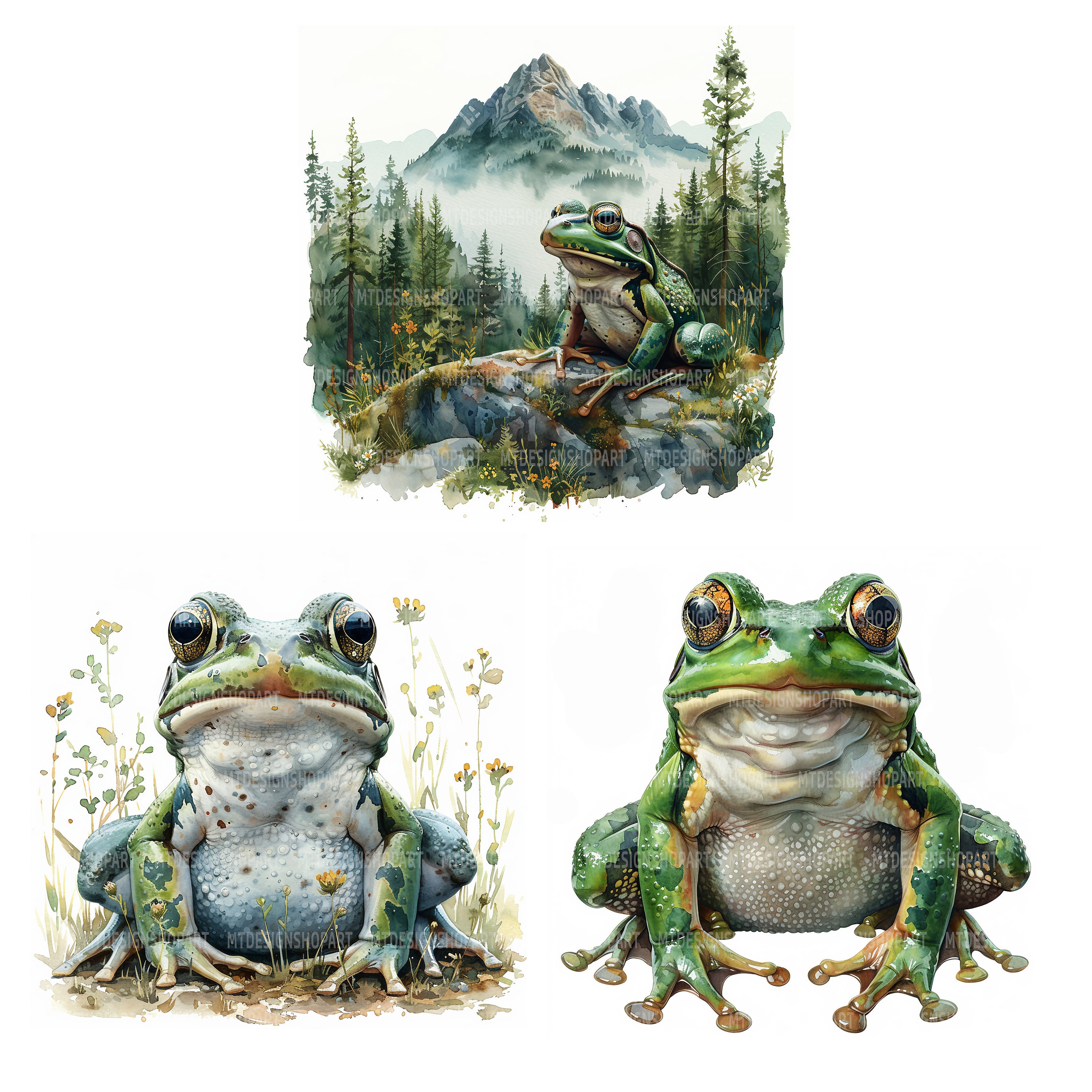 15 Frog Clipart, Frog Clipart Bundle, Printable Watercolor Clipart ...