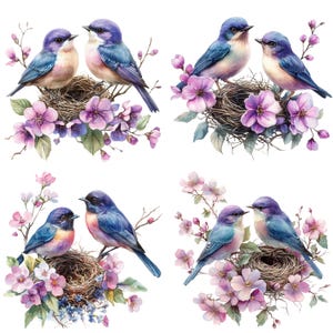 19 Spring Birds Clipart, Bird Nest Clipart, Floral Bird, Printable ...