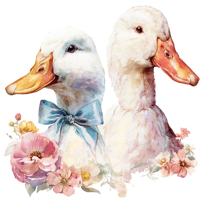 21 Cute Duck Clipart, Duck With Pink Bow, Peacock Landscape, Printable ...