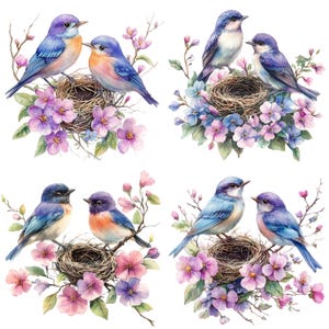 19 Spring Birds Clipart, Bird Nest Clipart, Floral Bird, Printable ...