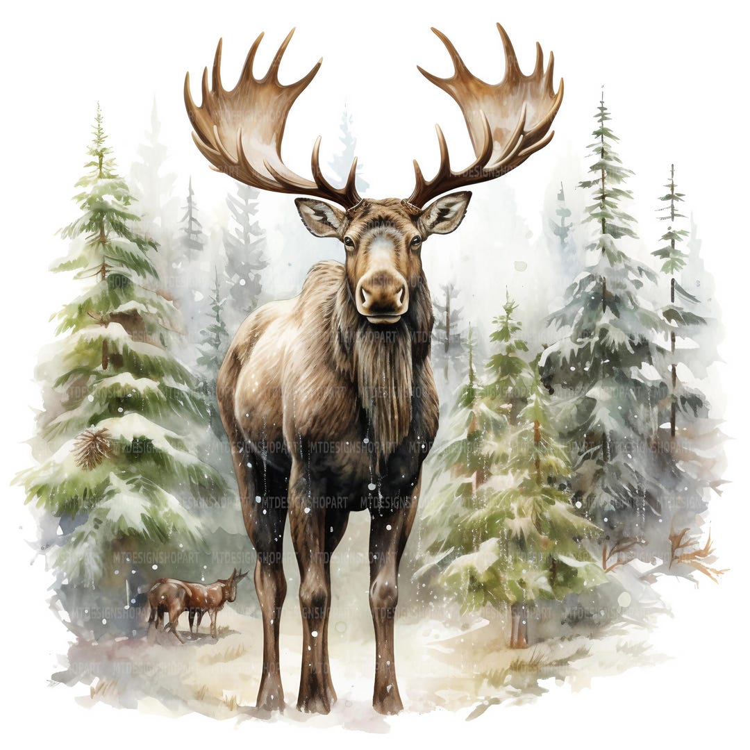 20 Moose in Winter Clipart, Moose Clipart, Printable Watercolor Clipart ...