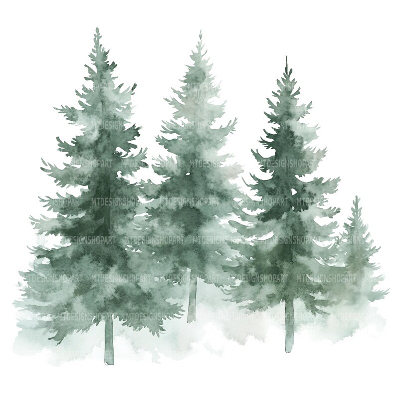 20 Conifer Tree Clipart, Forest Trees Clipart, Printable Watercolor ...
