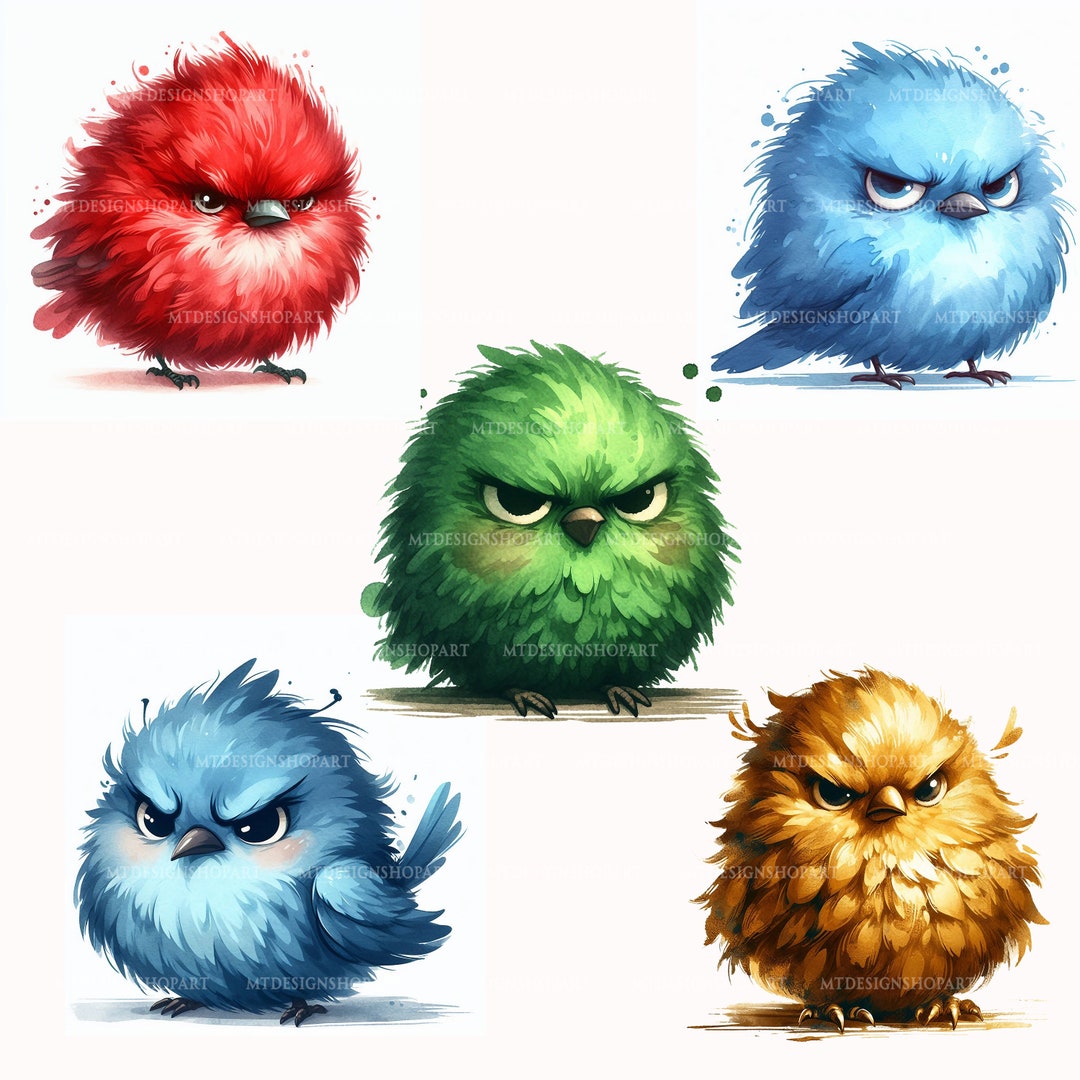 21 Grumpy Birds Clipart, Watercolor Clipart, Cute Fluffy Birds, Digital ...