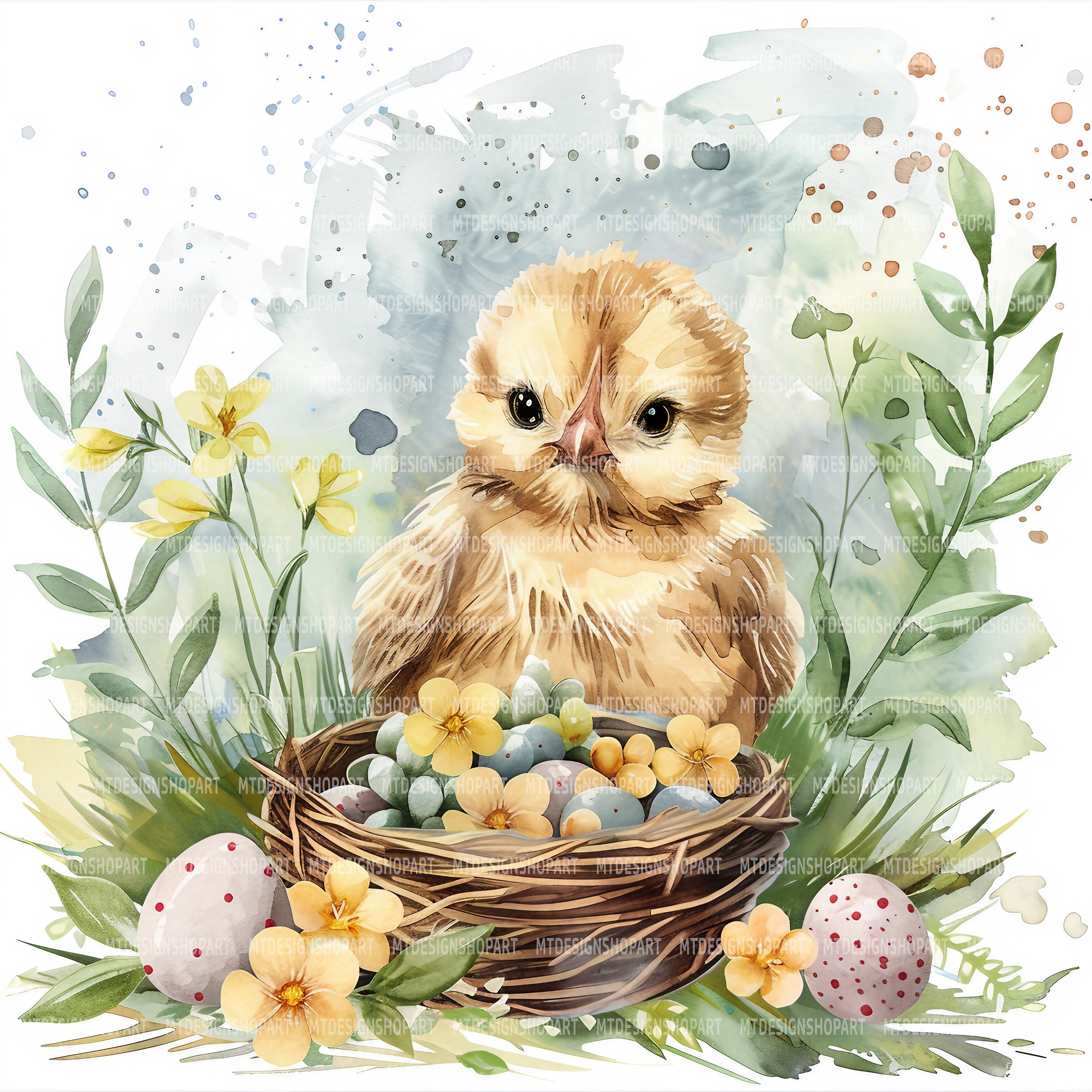 11 Chick and Eggs Clipart, Chicks, Printable Watercolor Clipart, High ...