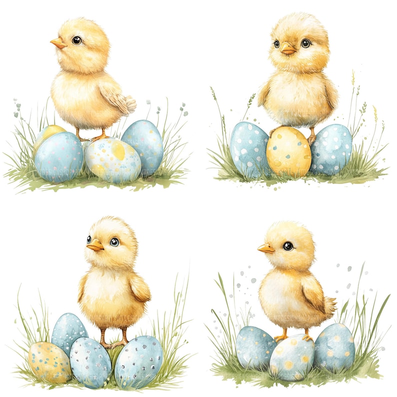 15 Easter Chick Clipart, Chick and Eggs Clipart, Printable Watercolor ...