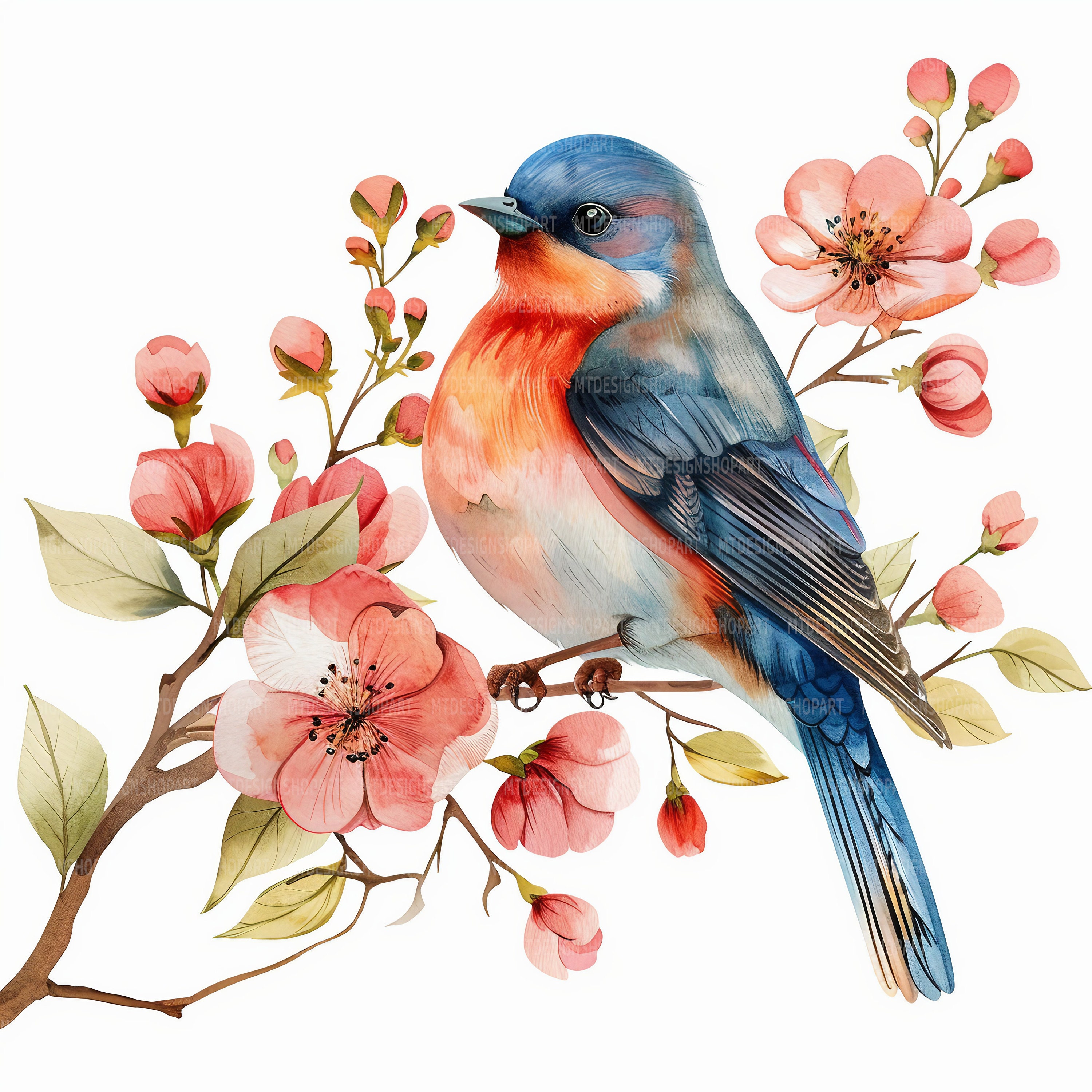 19 Birds Clipart, Floral Bird, Printable Watercolor Clipart, High ...