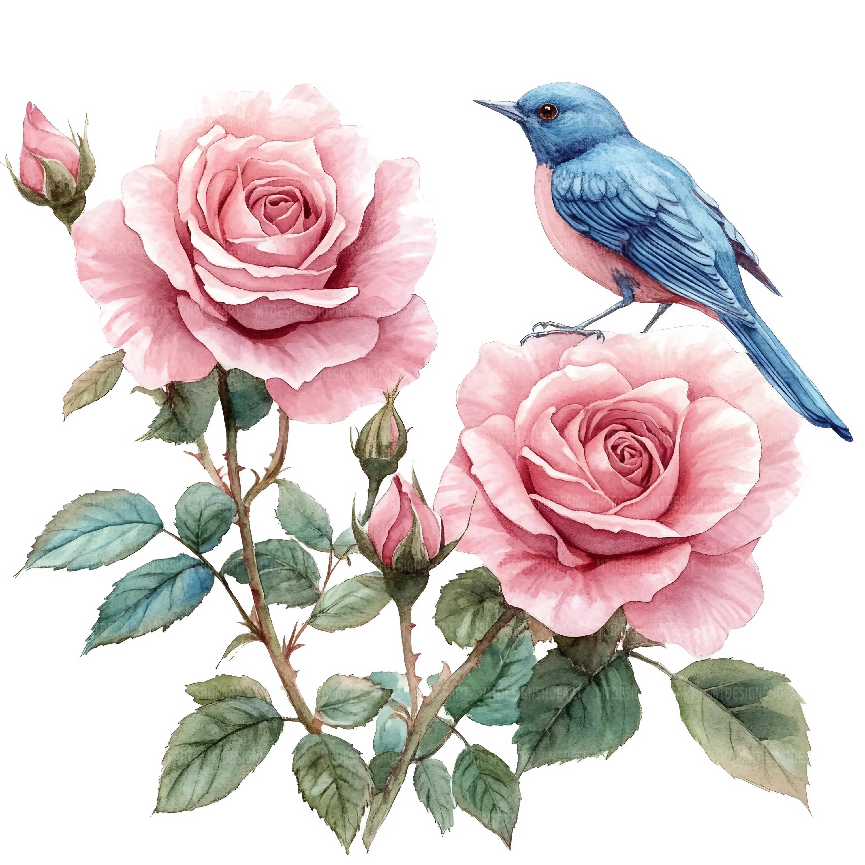 16 Floral Bluebird Clipart, Bird and Roses, Printable Watercolor ...